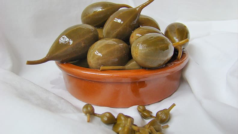 Posibilidades del cultivo de la alcaparra en España