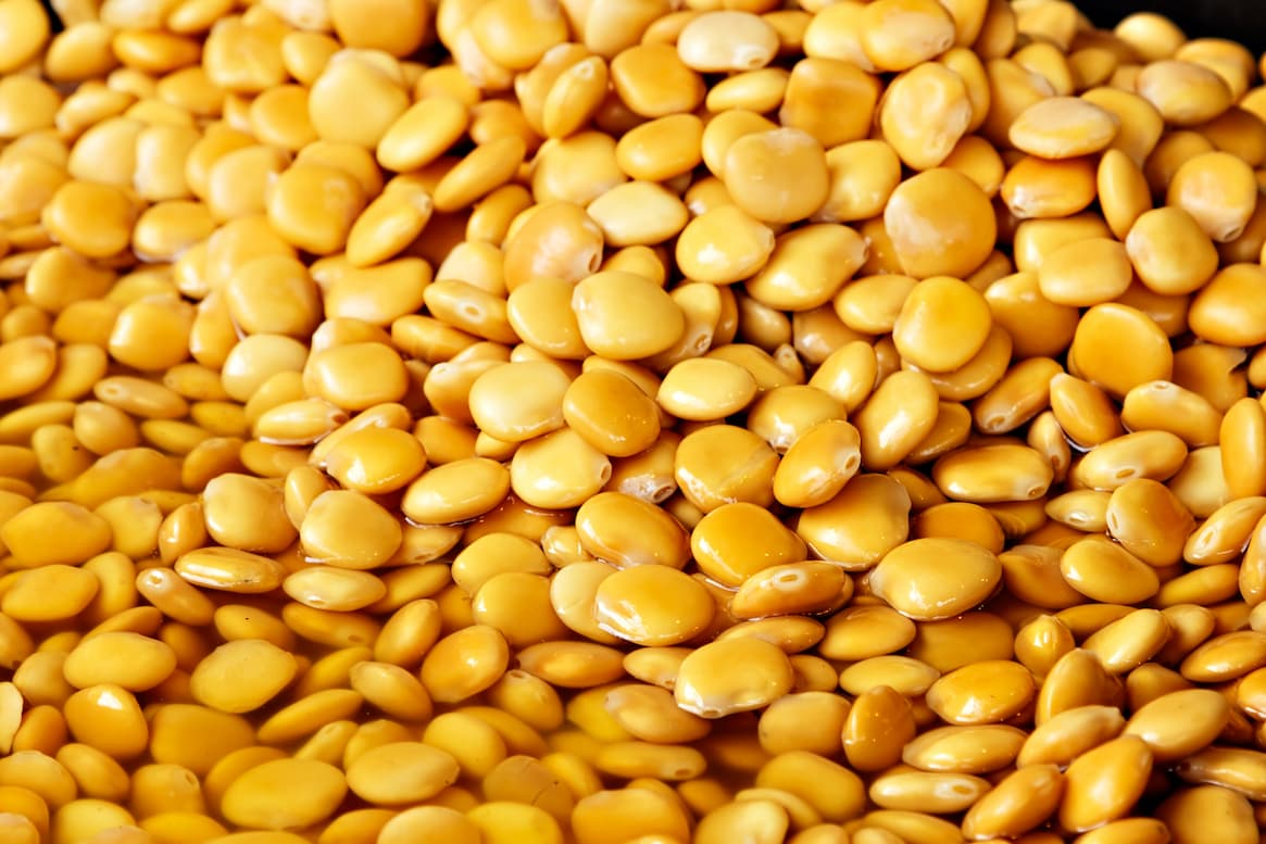 Producción animal a través de uso de legumbres autóctonas