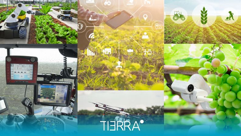 Observatorio de la Digitalización en el Sector Agroalimentario | Estudio 3