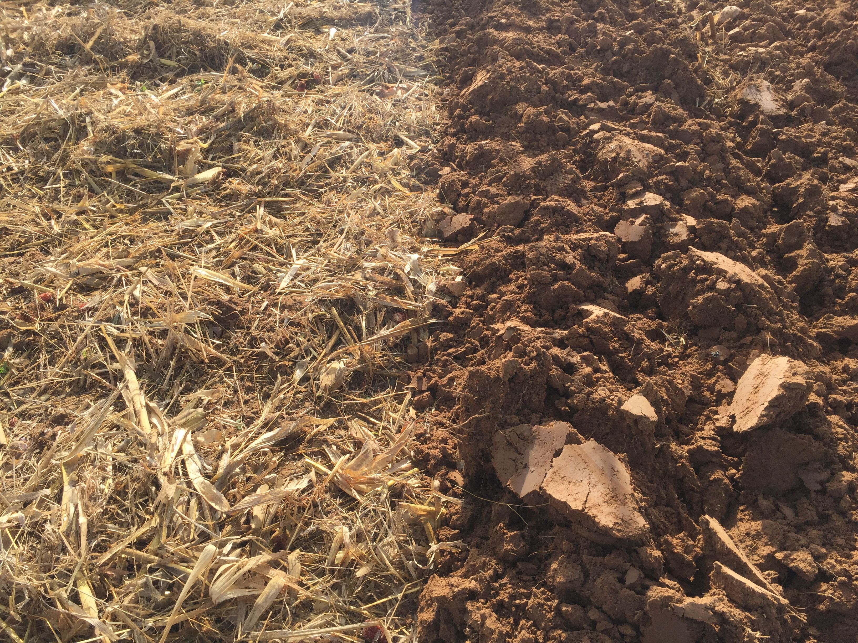 El suelo como elemento primordial