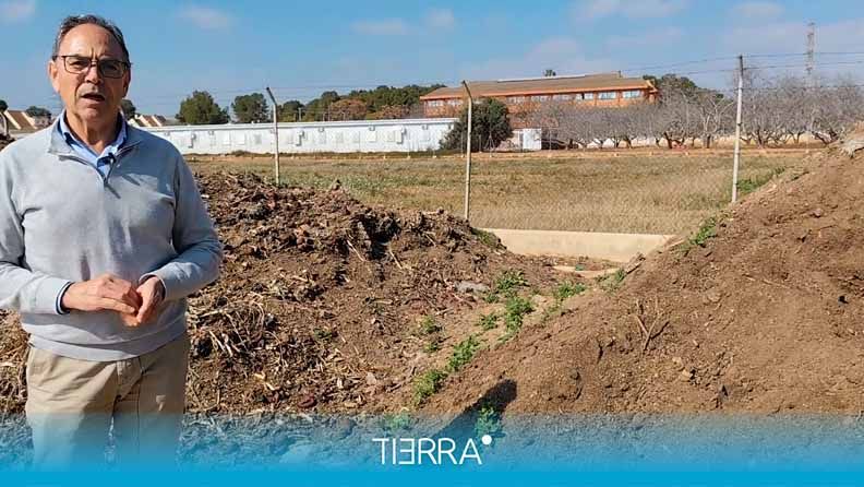 'Del primer brote al primer fruto' (2): el compost, el primer manejo ...
