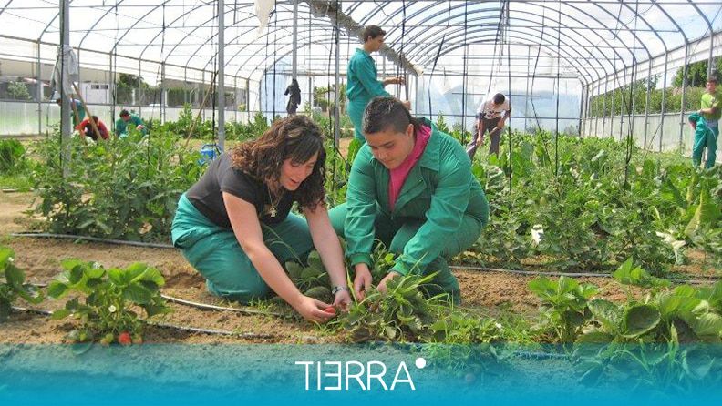 Una treintena de cursos gratuitos para formar a los profesionales del ...