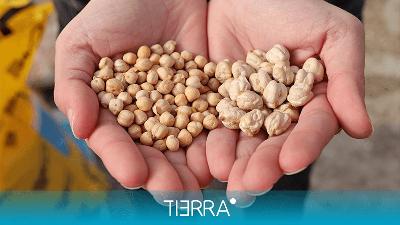 GO TecnoGAR: una solución holística para la monitorización y mejora del ...