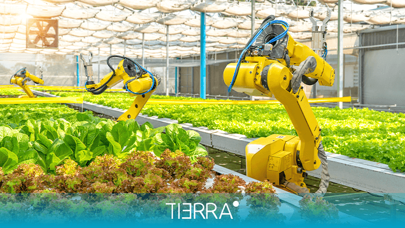 Cinco aplicaciones de la inteligencia artificial en agricultura