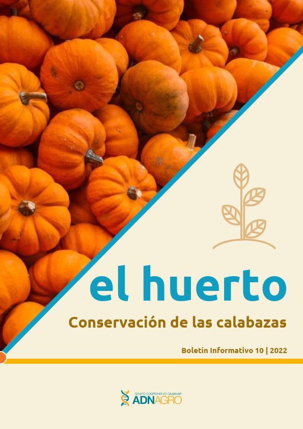 El Huerto. Conservación de las calabazas